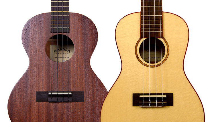 Ukulele Wood Comparison - Different Ukulele Wood Types - Austin Bazaar