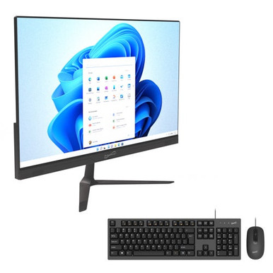 24" Windows All-in-One Desktop Computer Silver - Fat Cats Fun PIA Products
