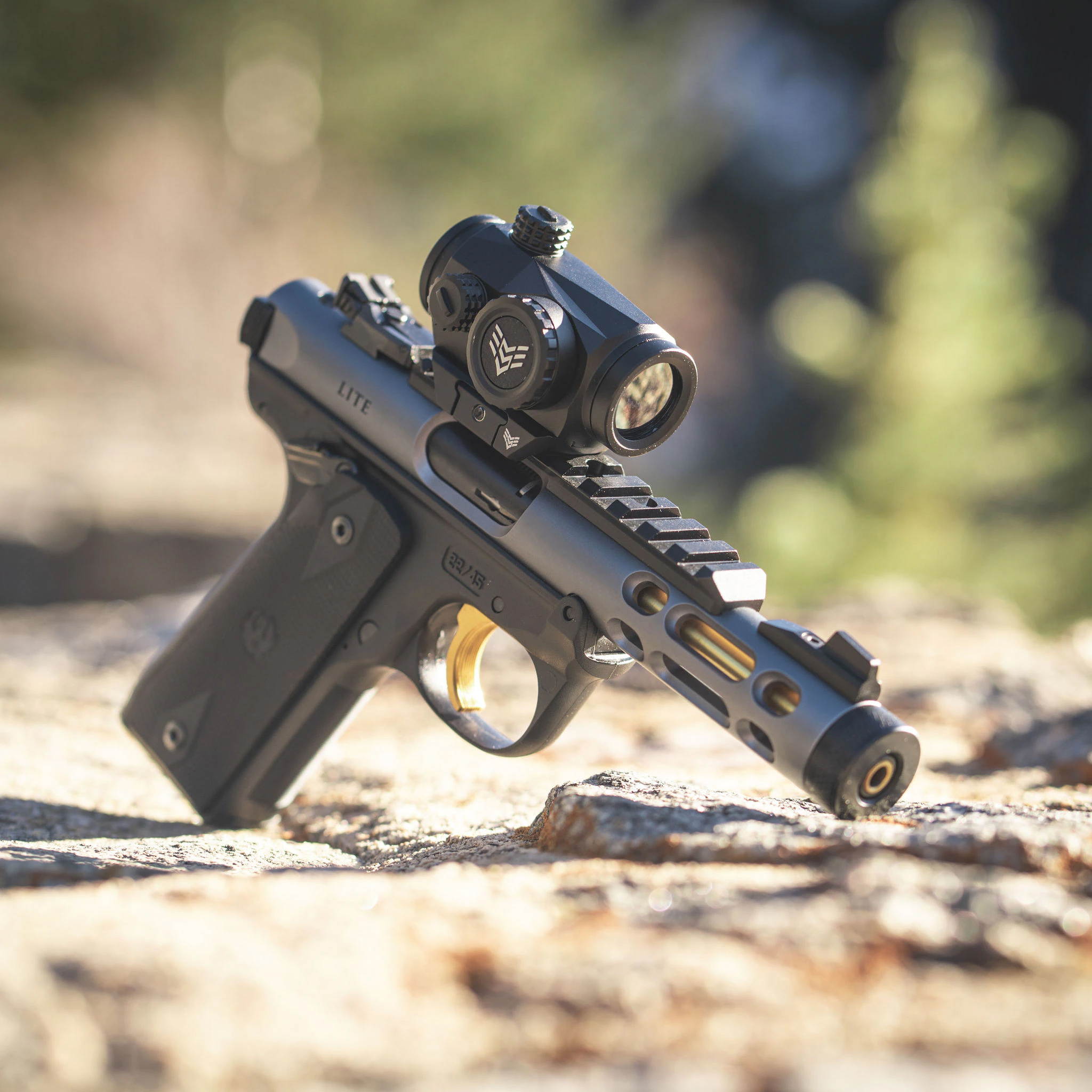 Swampfox Liberator II -- Upgraded Guts, Better Batt Life > New AR ...