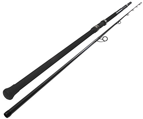 Spinning Rods | FISH307.com