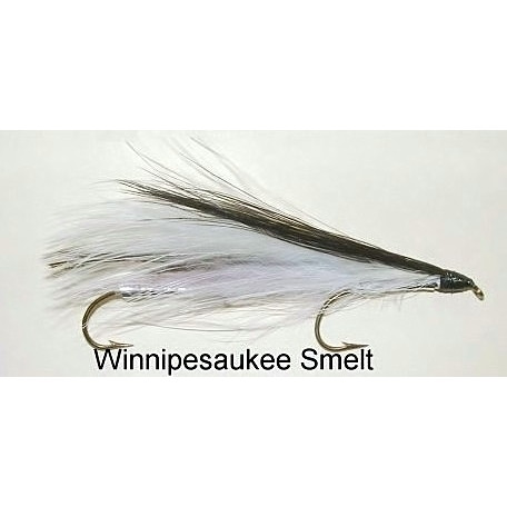 Streamer Fly - Rainbow Smelt