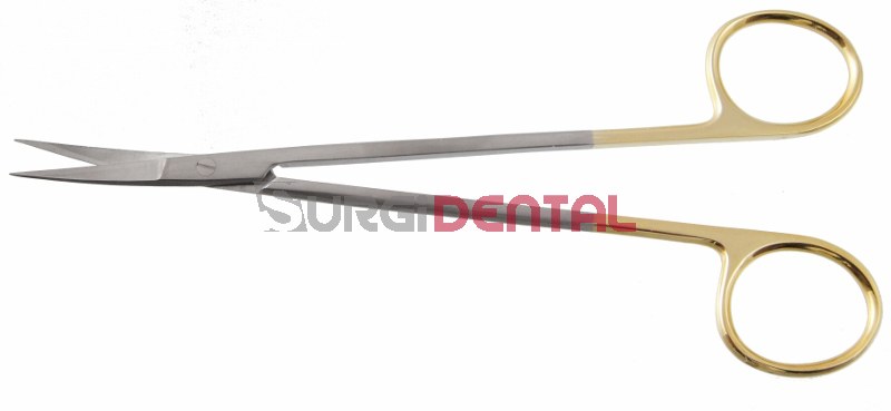 Kelly 6" Curved Carbide