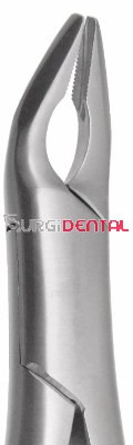 Extracting Forceps Apical 150, Upper Universal