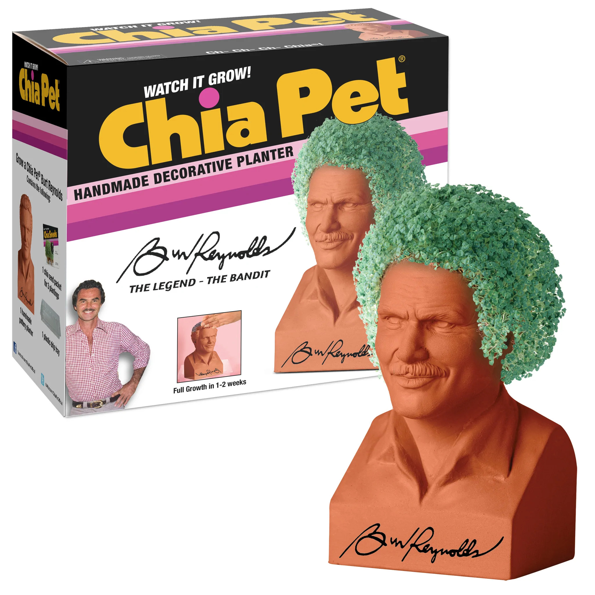 Karate Kid Mr. Miyagi Chia Pet - Buy at Not Just Toyz