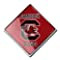 Hangtime University of South Carolina - South Carolina Gamecocks 12x12 ...