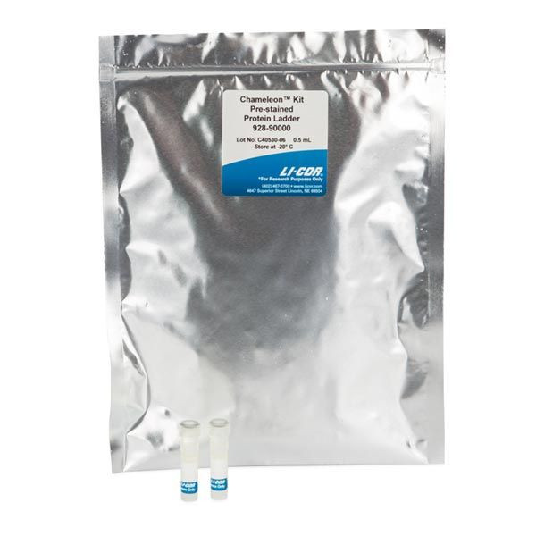 Chameleon Duo Pre-stained Protein Ladder for Western Blots - Shop ...