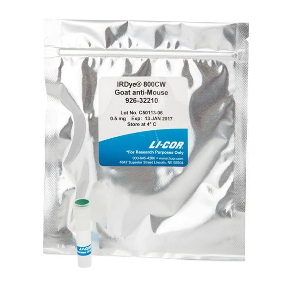IRDye 800CW Goat anti-Mouse IgG Secondary Antibody | LICORbio - Shop ...