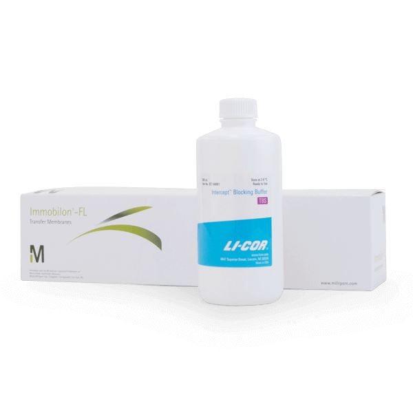 4X Protein Sample Loading Buffer and PVDF Membrane Kit - Shop | LICORbio