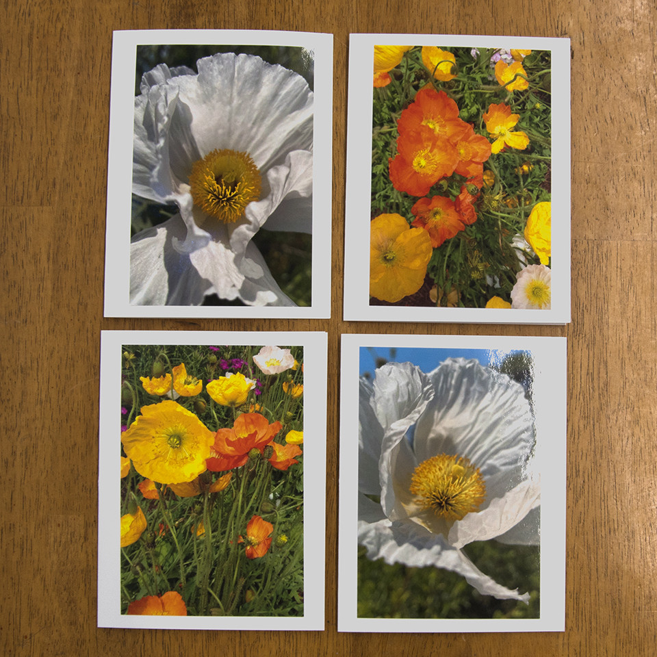 Lovely Flower Designs Note Card Sets at The Loopy Ewe