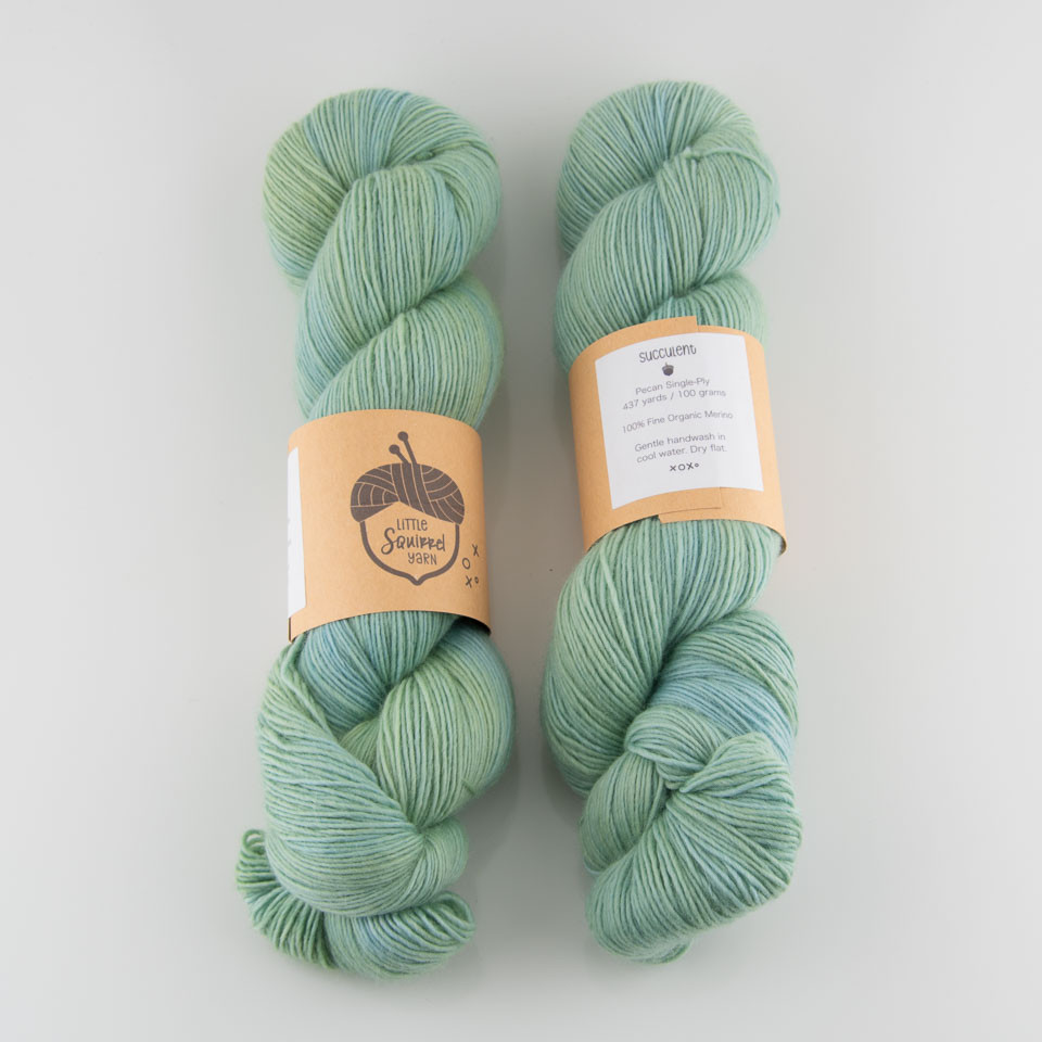 Little Squirrel Yarn, Pecan Single Ply // Succulent