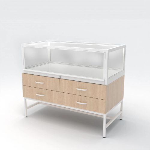 Contemporary Half Vision Showcase with Storage Doors