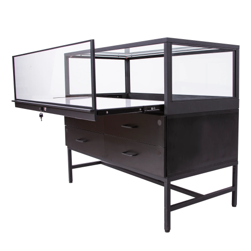 Contemporary Half Vision Showcase with Storage Doors