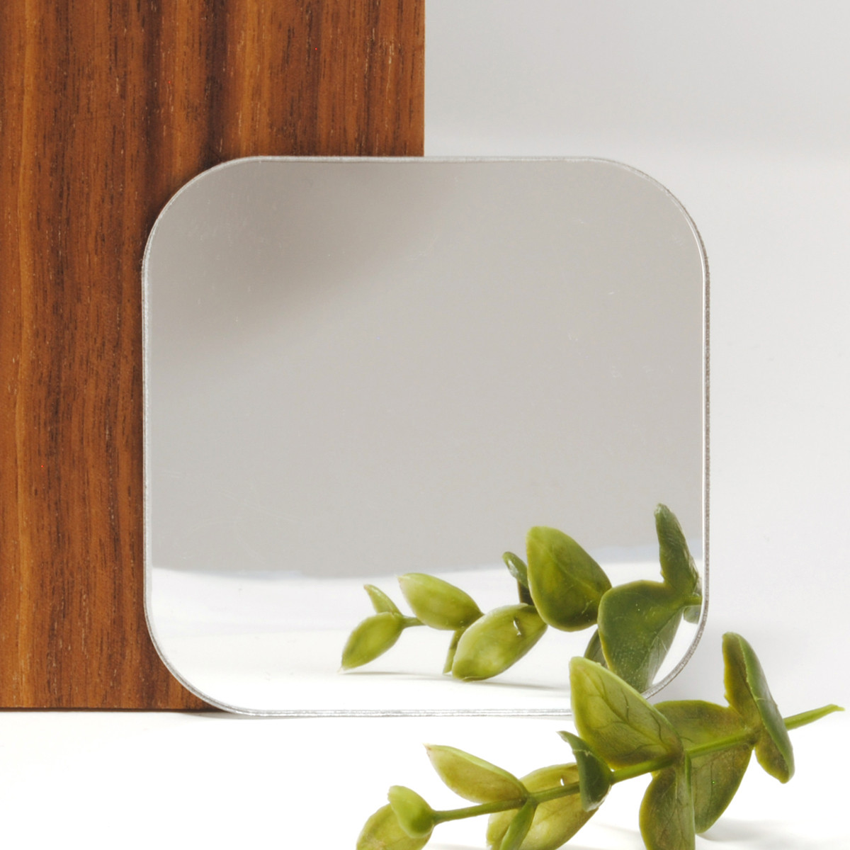 Silver Mirror