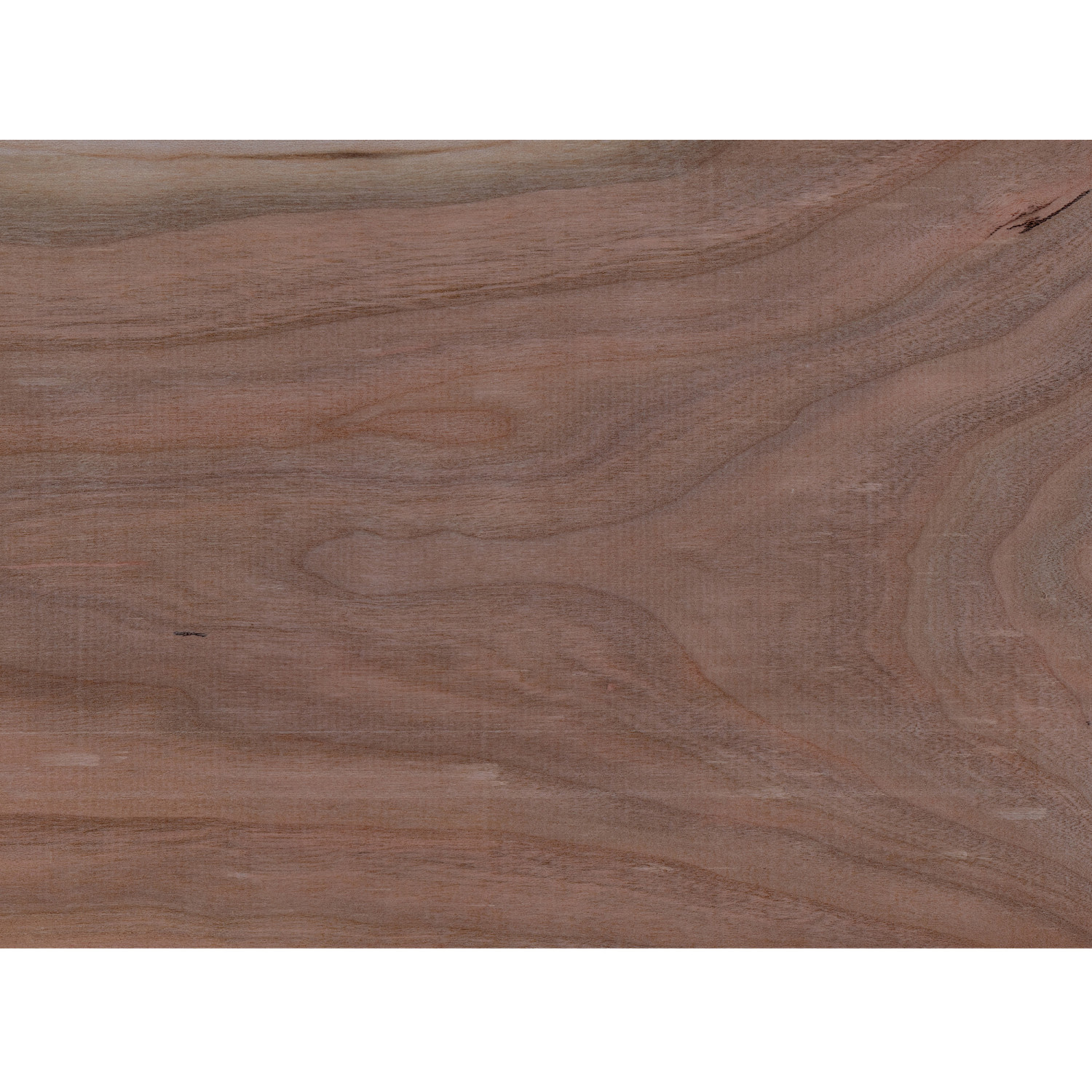 Unfinished Rustic Cherry 1X4 Board 6'