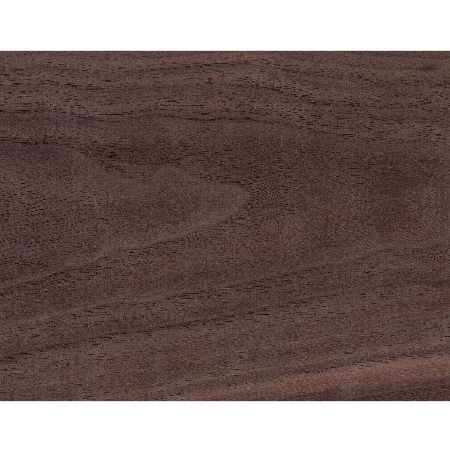 Unfinished Natural Walnut 1/4X4 Board 4'