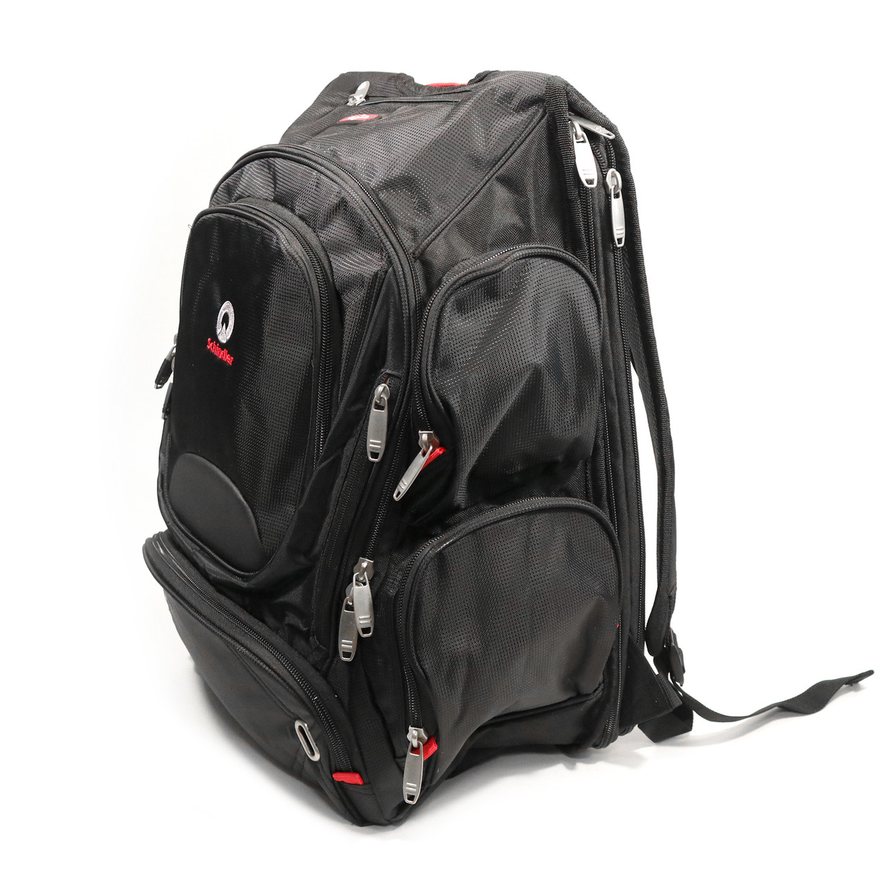 TSA 17" Computer Backpack