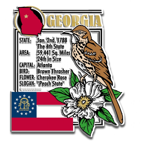 50 State Informational Magnet Set - ClassicMagnets.com