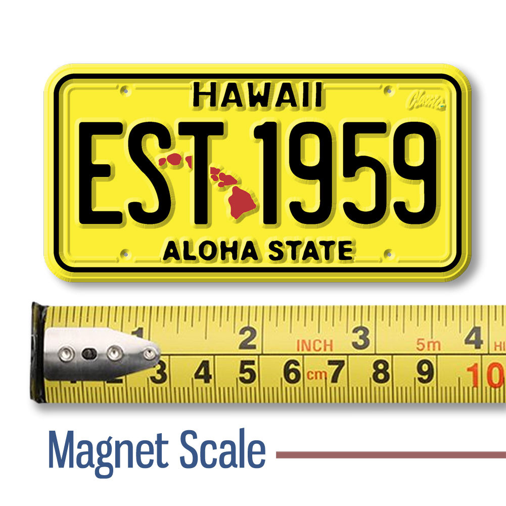 50 State License Plate Magnet Set - ClassicMagnets.com