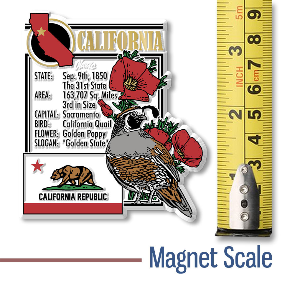 California State Montage Magnet - ClassicMagnets.com