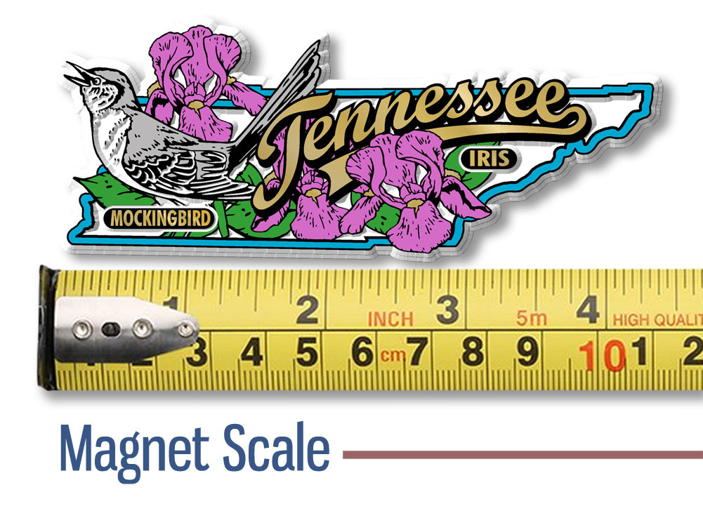 Tennessee State Bird and Flower Magnet by ClassicMagnets.com