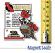 California State Montage Magnet - ClassicMagnets.com