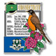 Connecticut State Montage Magnet - ClassicMagnets.com
