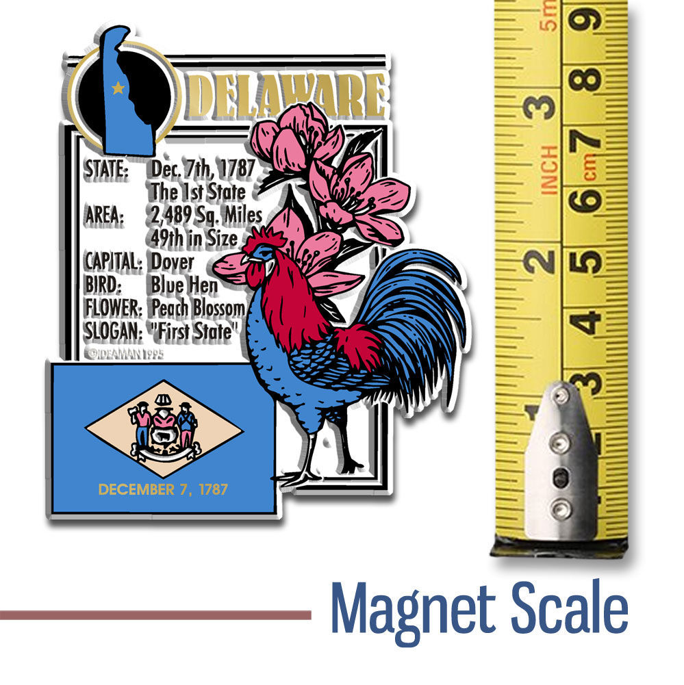 Delaware State Montage Magnet - ClassicMagnets.com