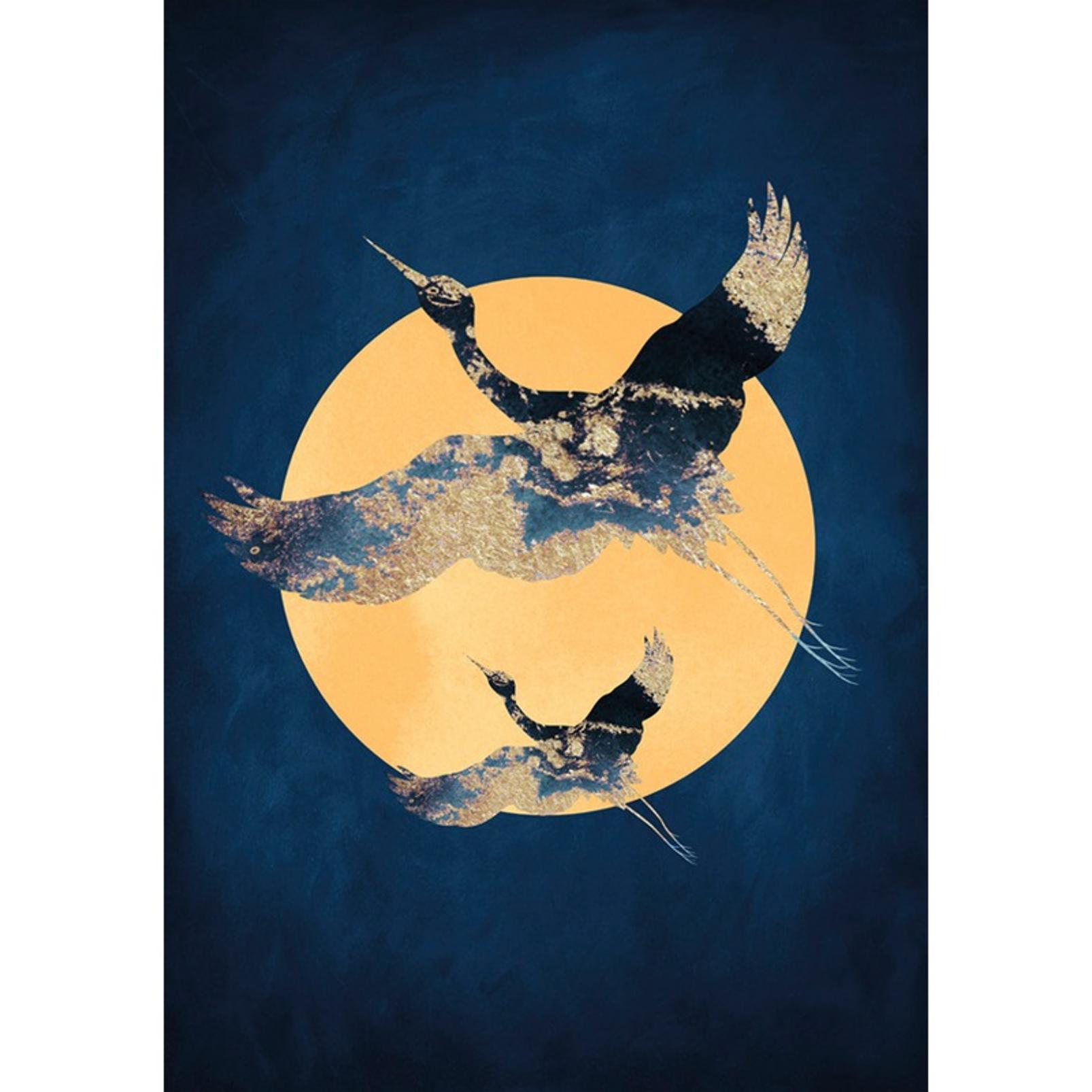 Lunar Flight Blue Wall Art | Blue | Graham & Brown