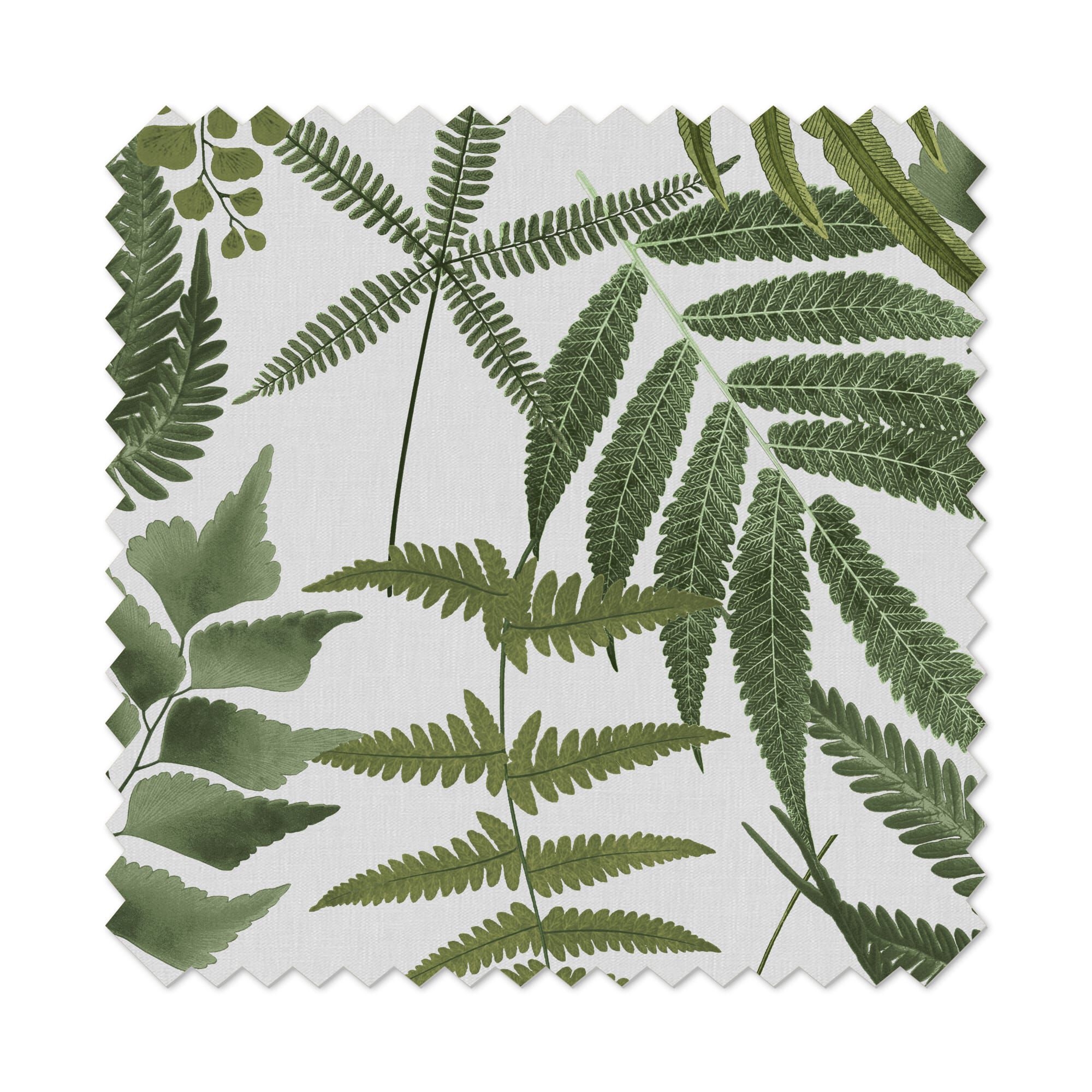 Midsummer Fern Lush Roman Blind | Made to Measure Roman Blinds | Graham ...