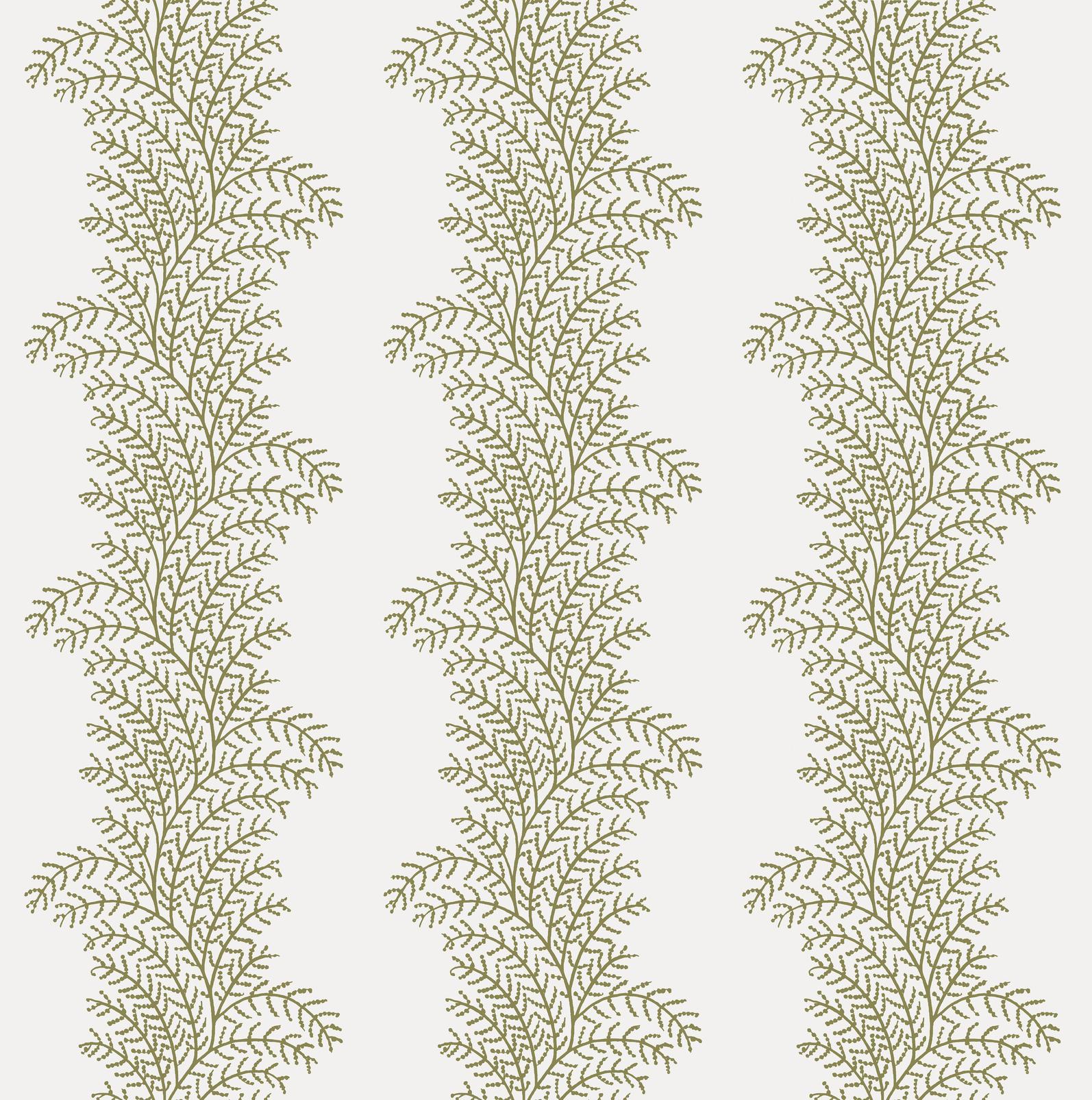 Whispering Fern Willow Wallpaper | Green | Graham & Brown