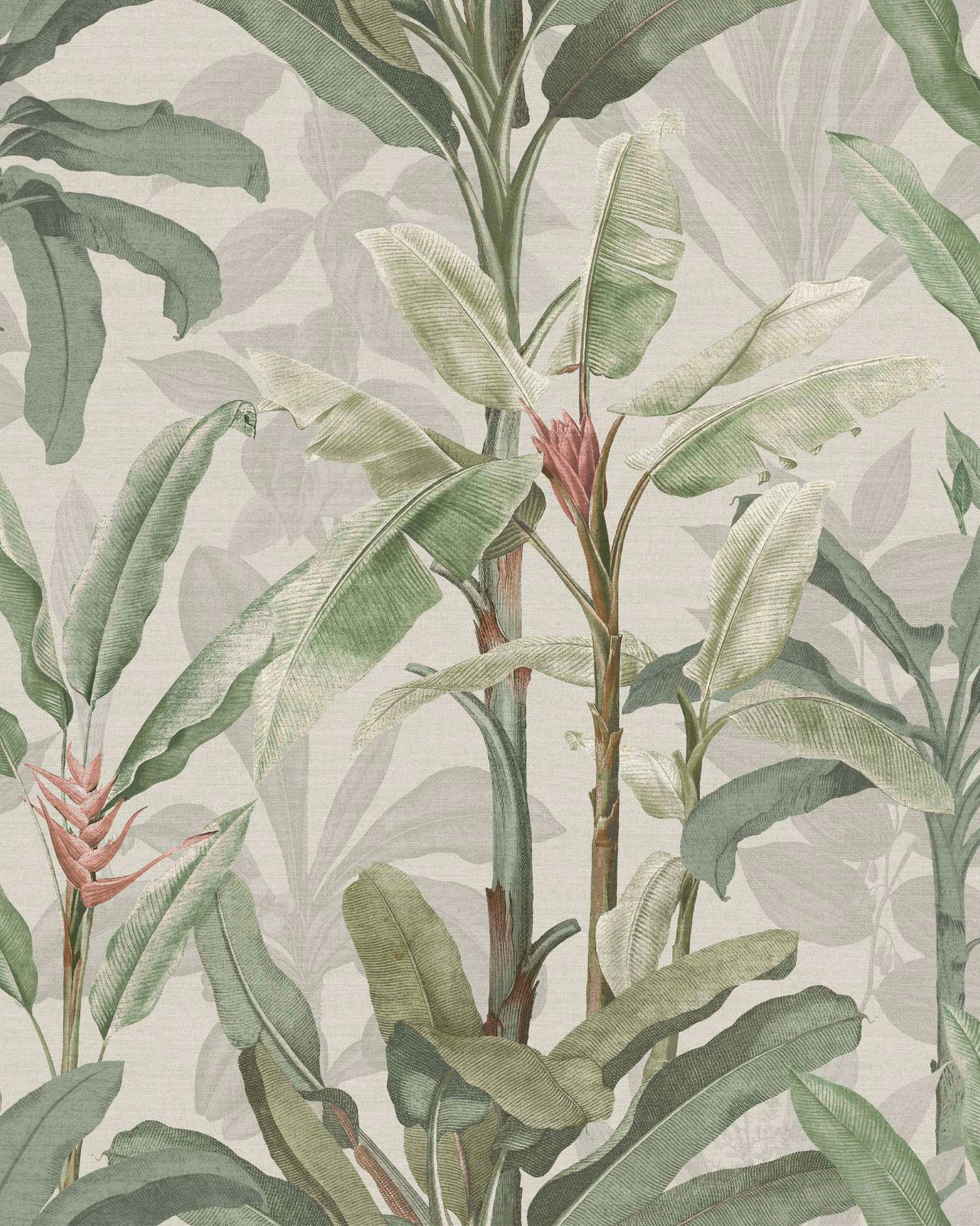 Borneo Powder Wallpaper | Green | Graham & Brown