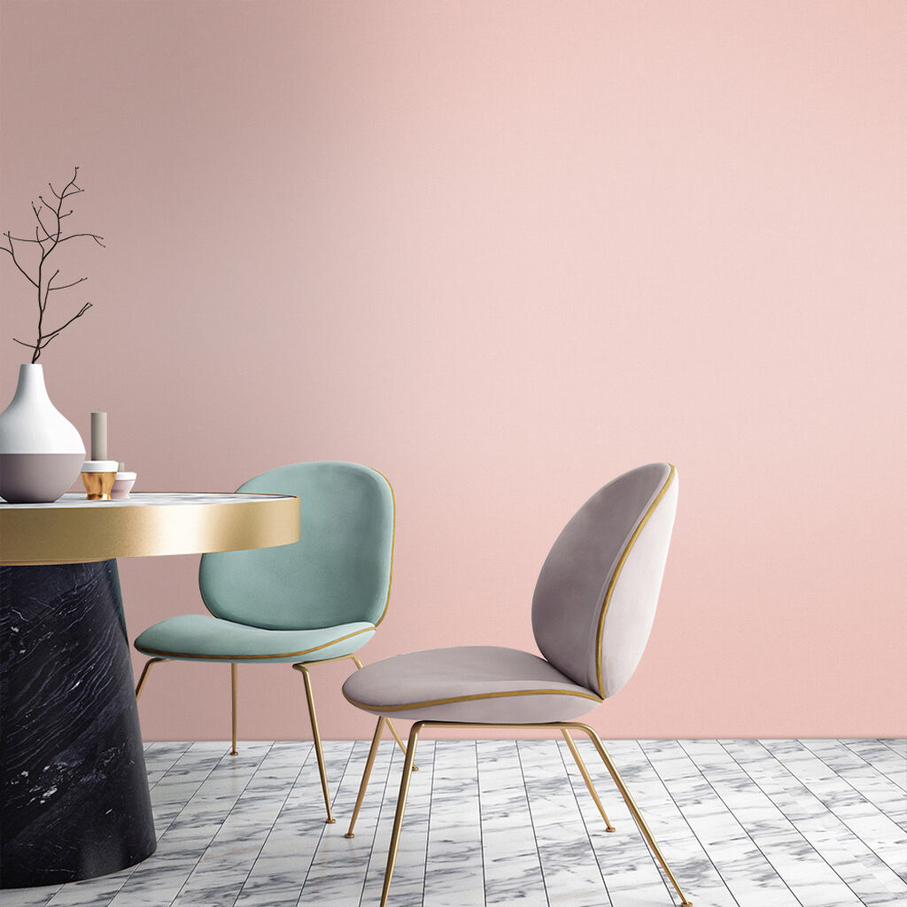August Paint | Pink Paint | Graham & Brown