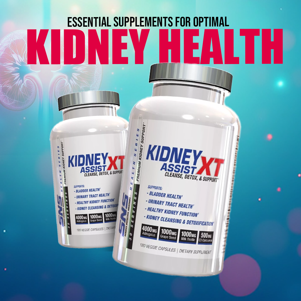 Essential Supplements for Optimal Kidney Health - A1 Supplements