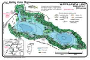 Wawayanda