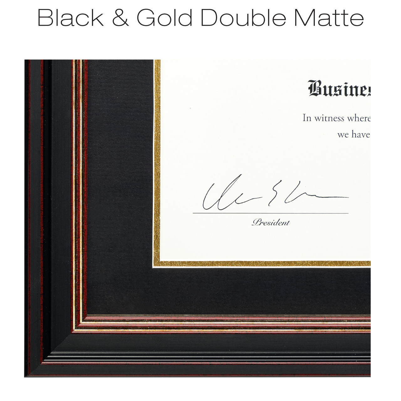 11x14 Document Frame with Double Mat - Excello Global Brands