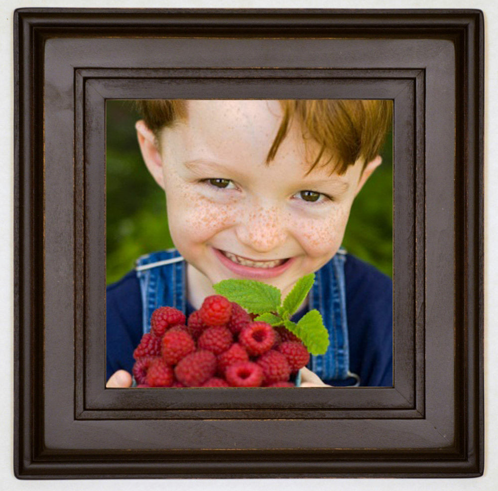 Wood Picture Frames | 8x8 Chocolate Brown 160 Frame