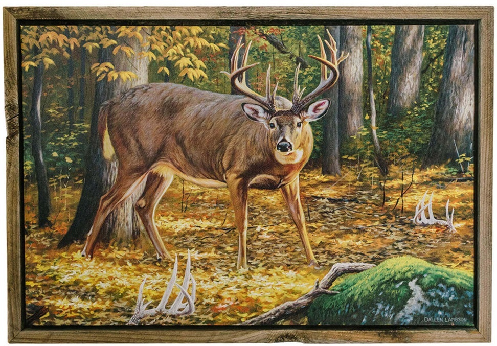 Barnwood Frames | Rustic Reclaimed Wood Picture Frames | Custom Sizes