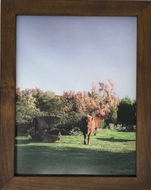 Hampton Thin Picture Frame - My Barnwood Frames