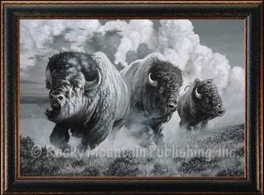 Muy Macho by Dallen Lambson- Canvas Giclee - My Barnwood Frames