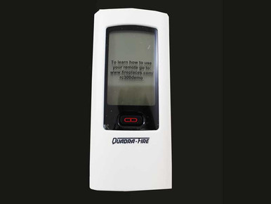 RC300 Remote (2166-332)