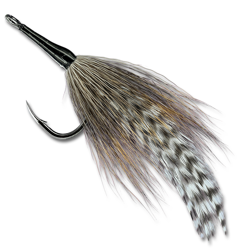 Cockroach at The Fly Shop