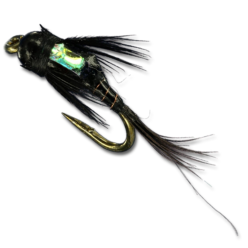 Two Bit Hooker at The Fly Shop