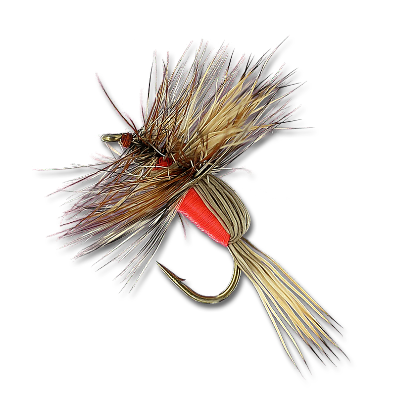Fire Humpy Dry Fly at The Fly Shop