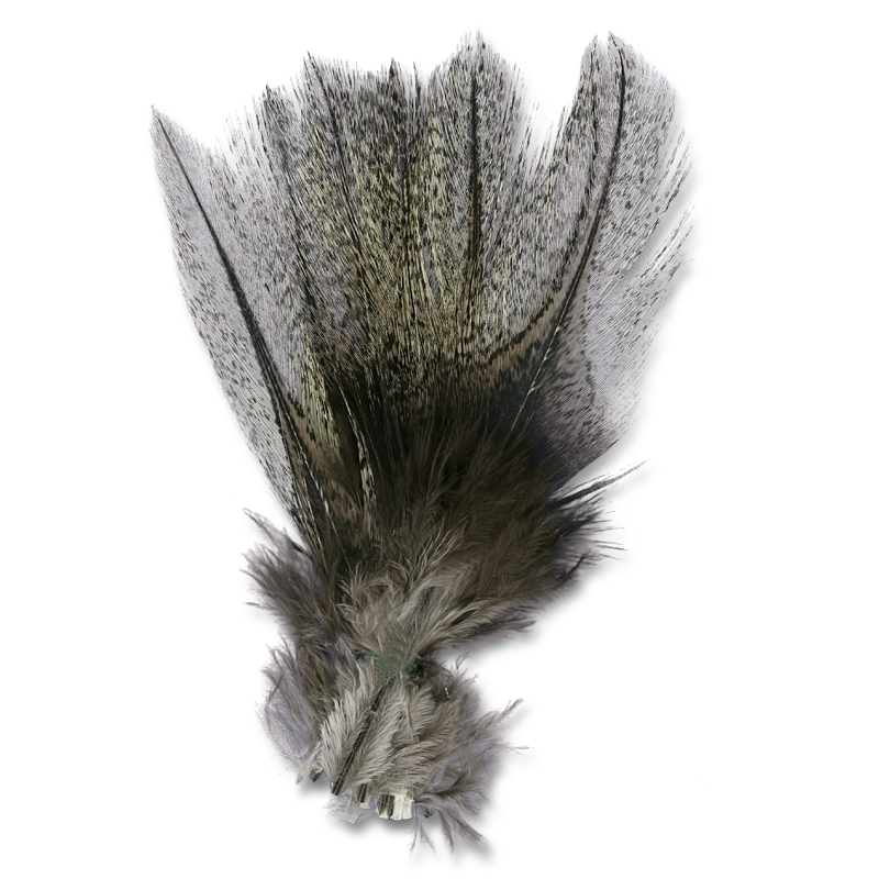 Coq De Leon at The Fly Shop