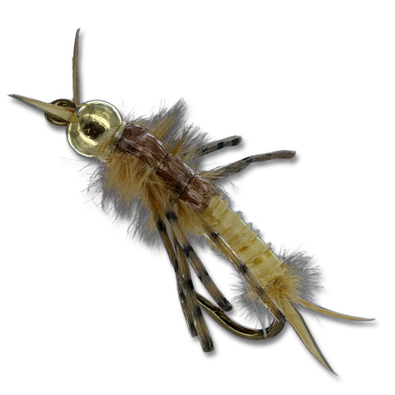 Stonefly Nymphs at The Fly Shop