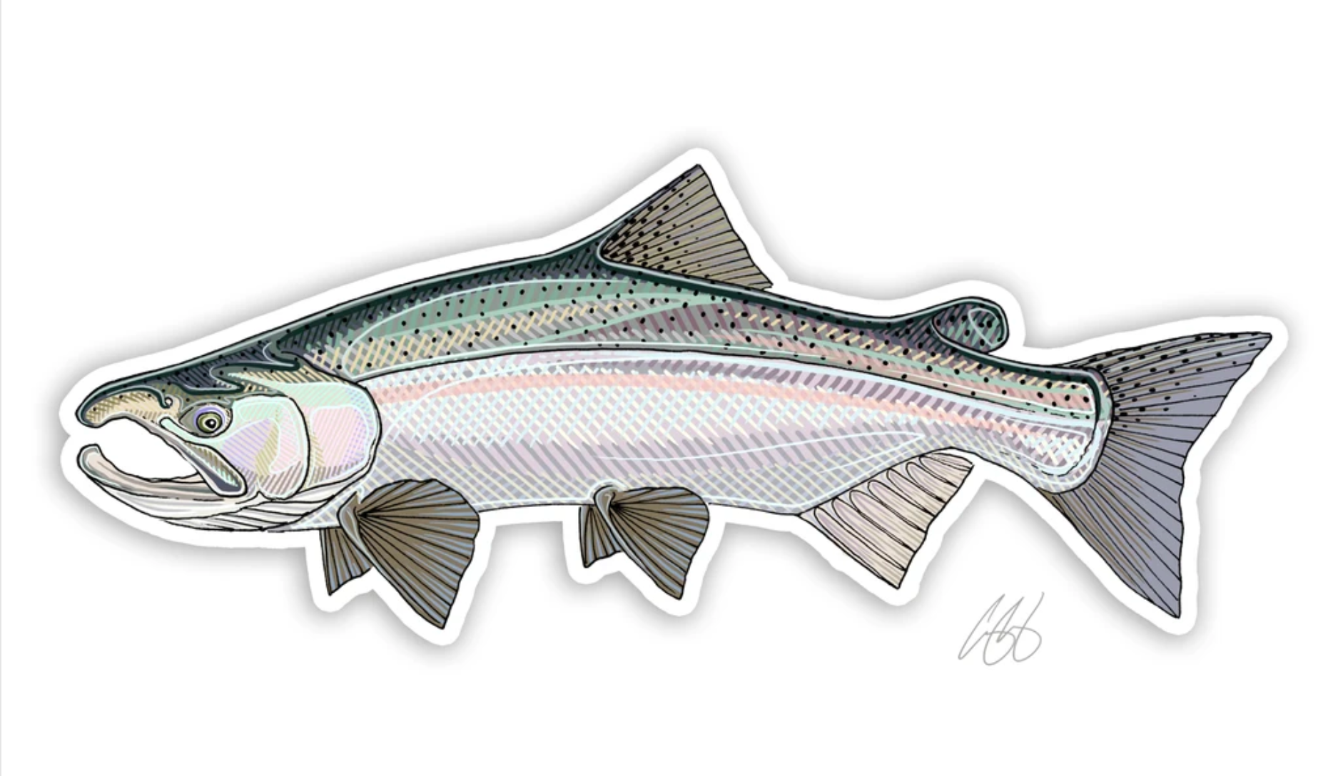 Orvis Fly Fishing Decals