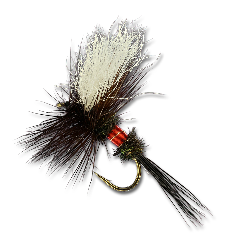 Royal Humpy Dry Fly at The Fly Shop
