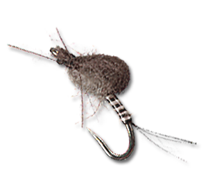 Harrop's CDC Emerging Midge at The Fly Shop