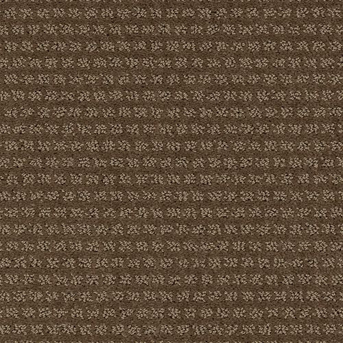 Mohawk Natural Intuition - Rich Maple Carpet - Carpet & Tile Mart