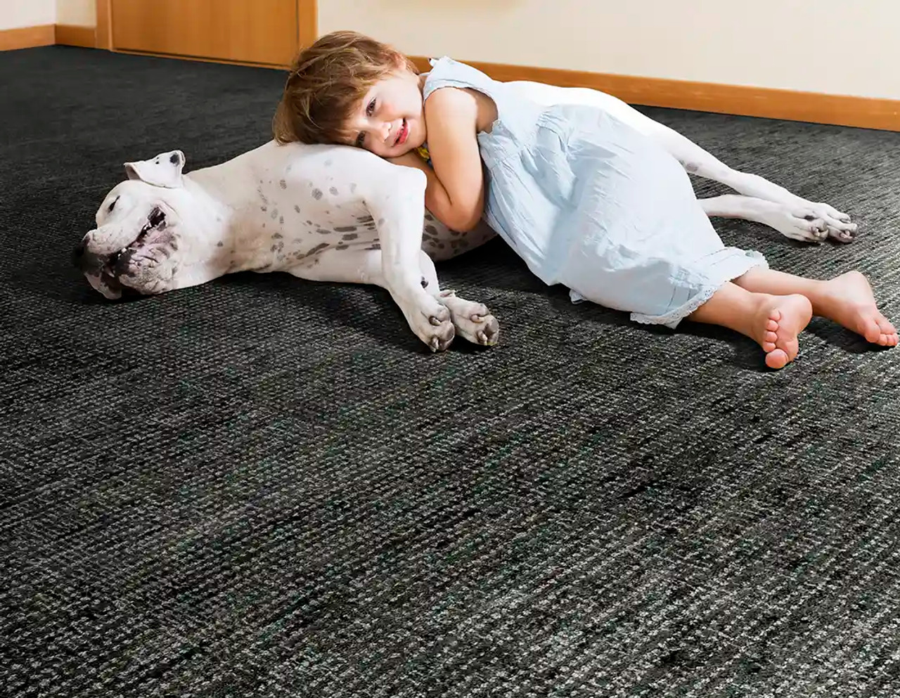 Kaleen PureLife Peabody PEA-38 Charcoal Area Rug | Carpetmart.com - Carpet & Tile Mart